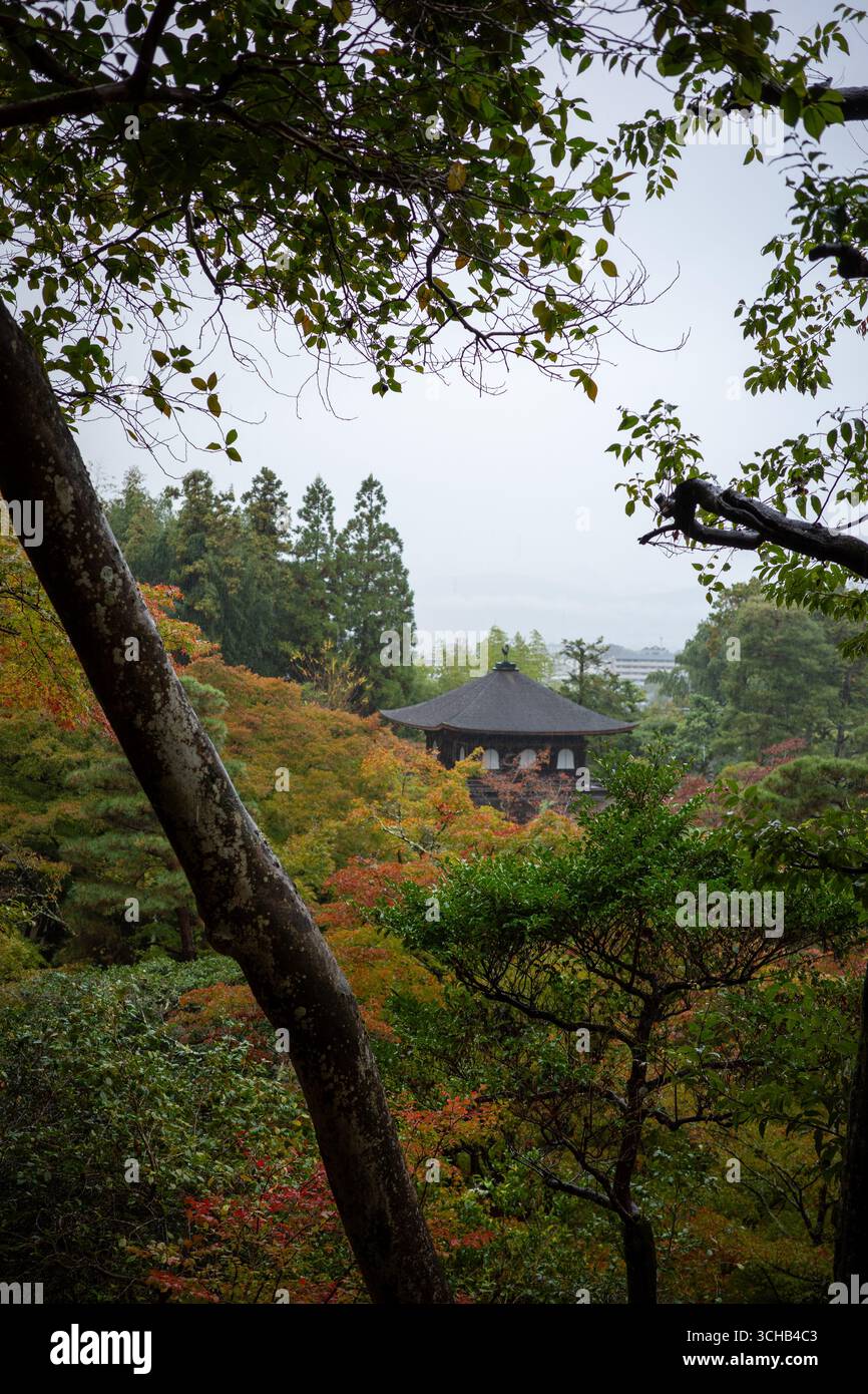 Traditional Japanese temple partially hidden among autumn trees on a ...