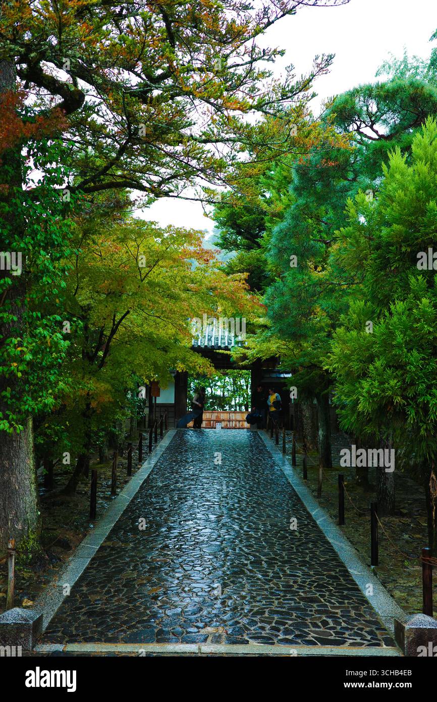 Rain-soaked stone pathway leading to a traditional Japanese gate ...