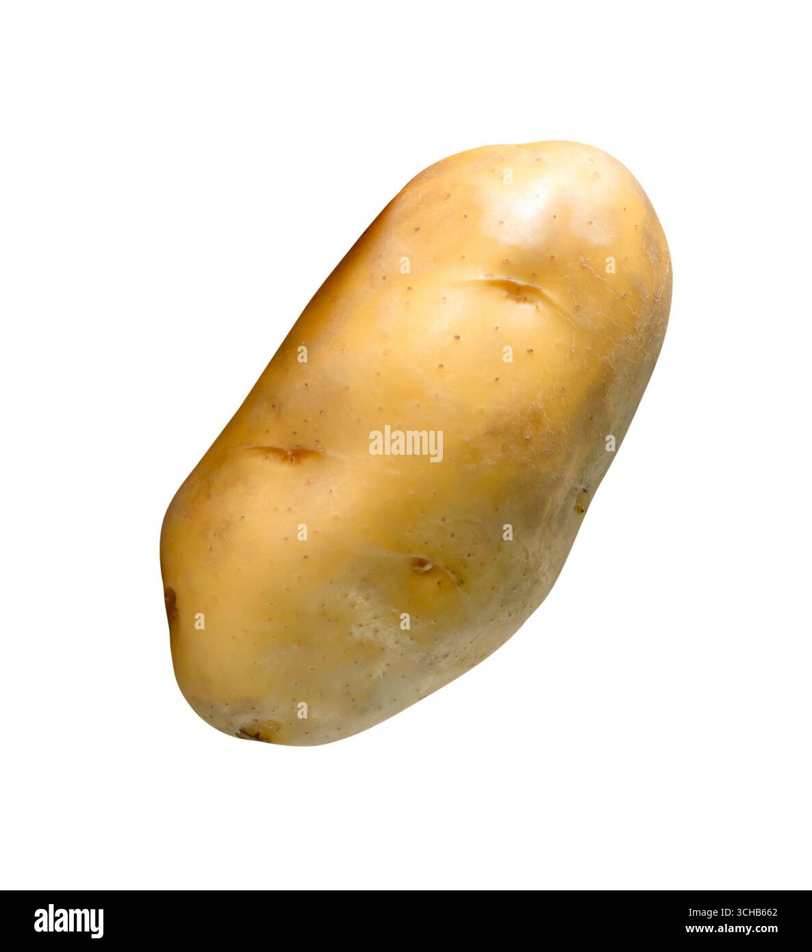A tuber of potato is isolated on white background with clipping path ...