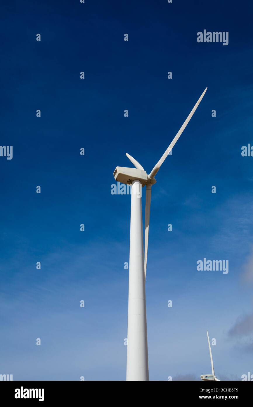 Marvel at the impressive height of wind turbines stretching towards the ...