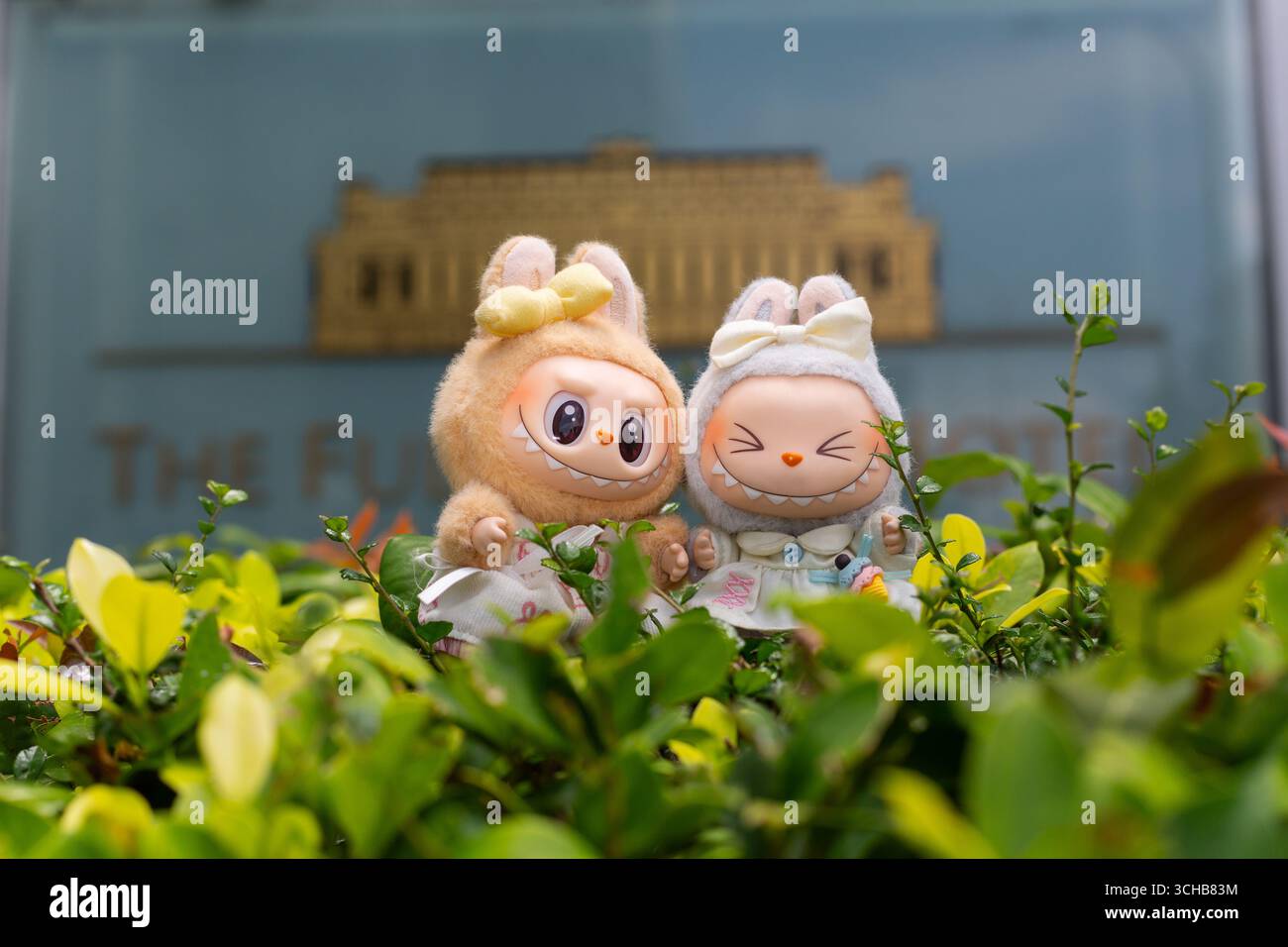 Dress up super cute Labubu in pair posing for a photo at the front of ...