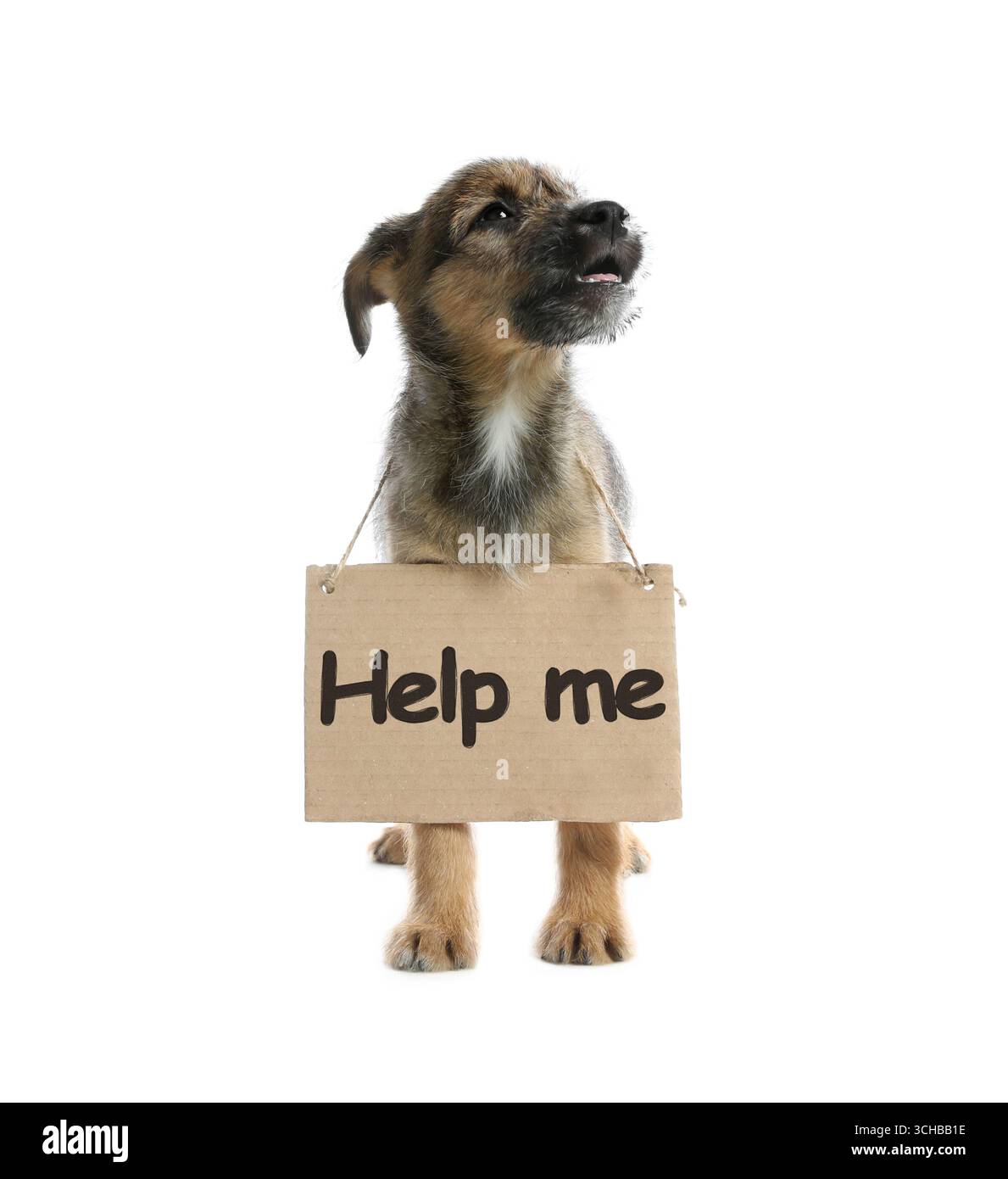 Volunteer homeless Cut Out Stock Images & Pictures - Alamy