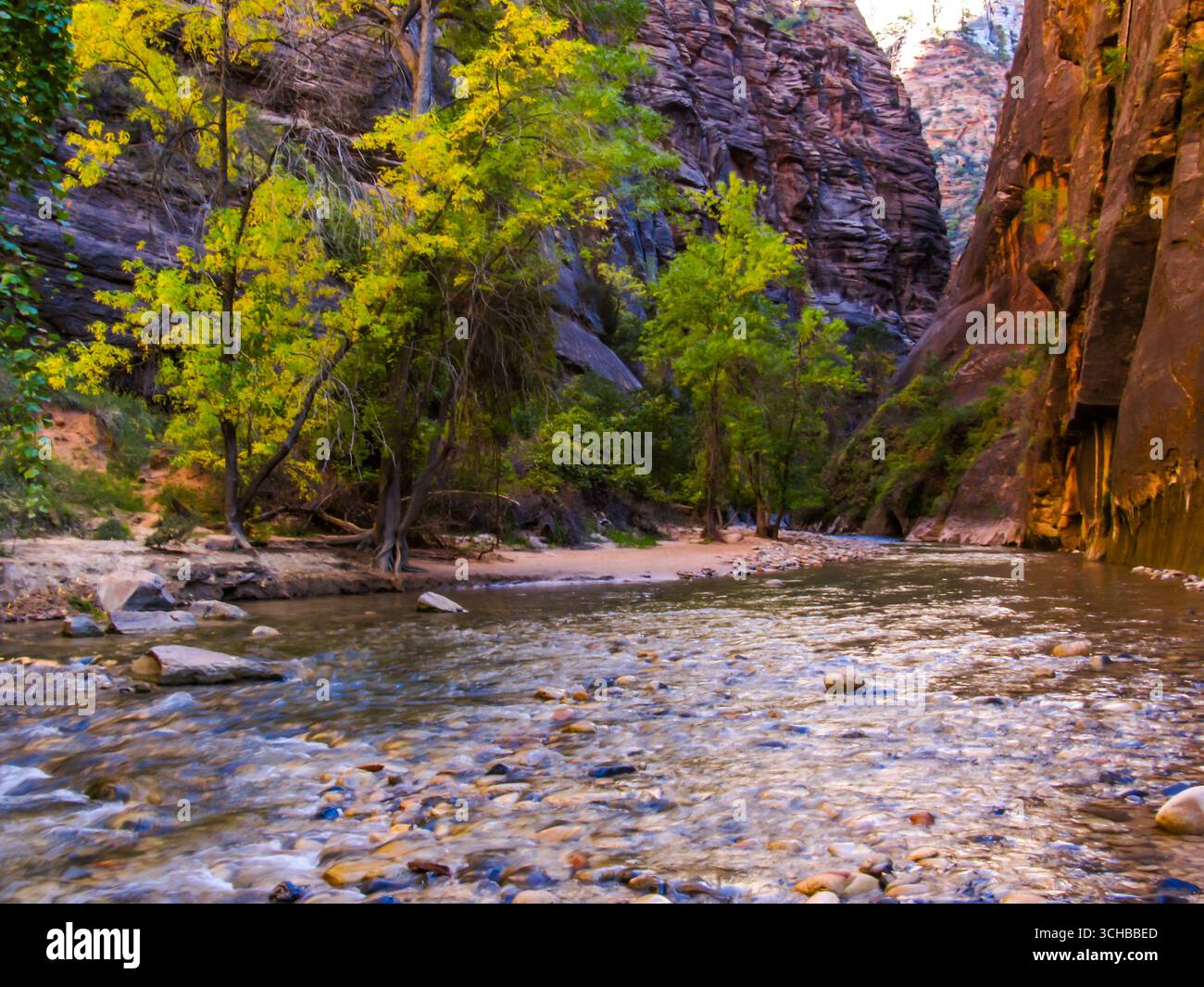 The Virgin river surrounded by the steep cliffs of Zion Canyon, in Utah ...
