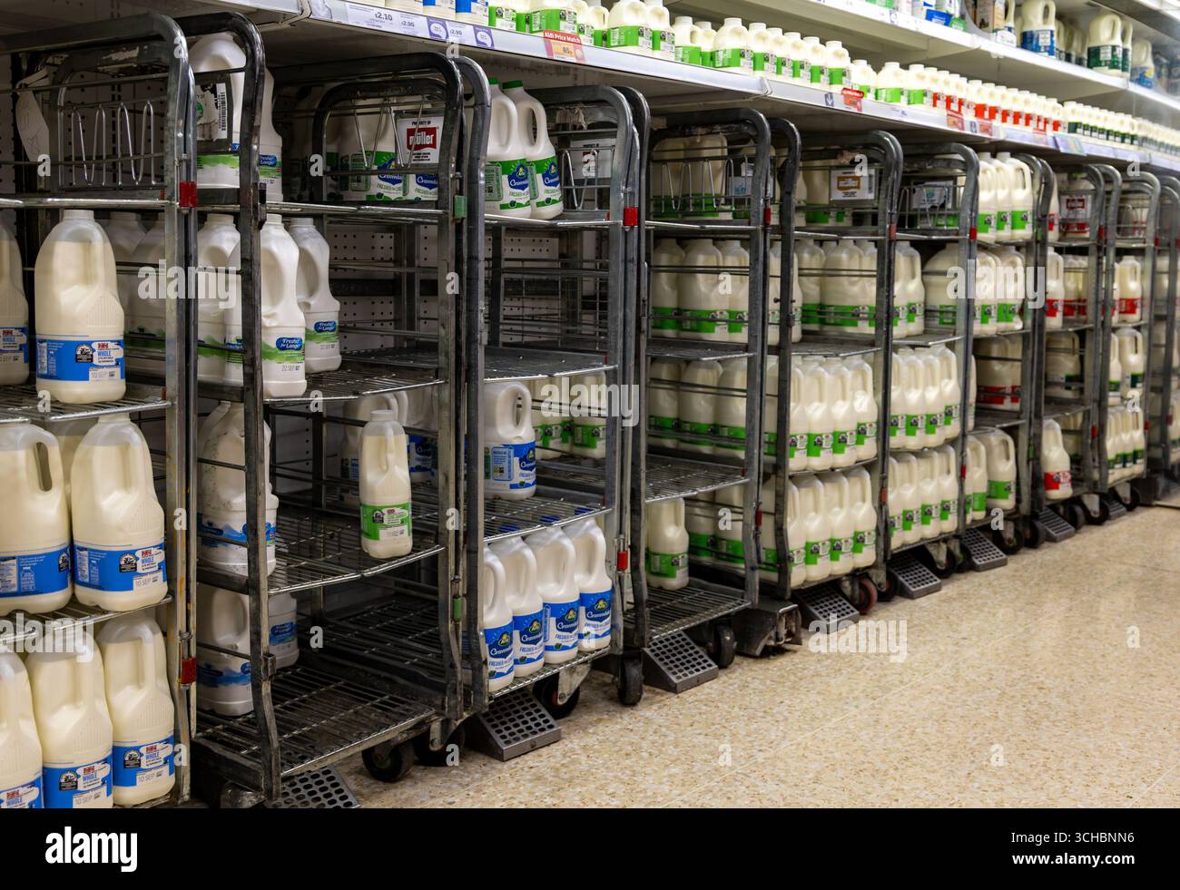 Rows of metal trolleys filled with various types of milk cartons in a ...