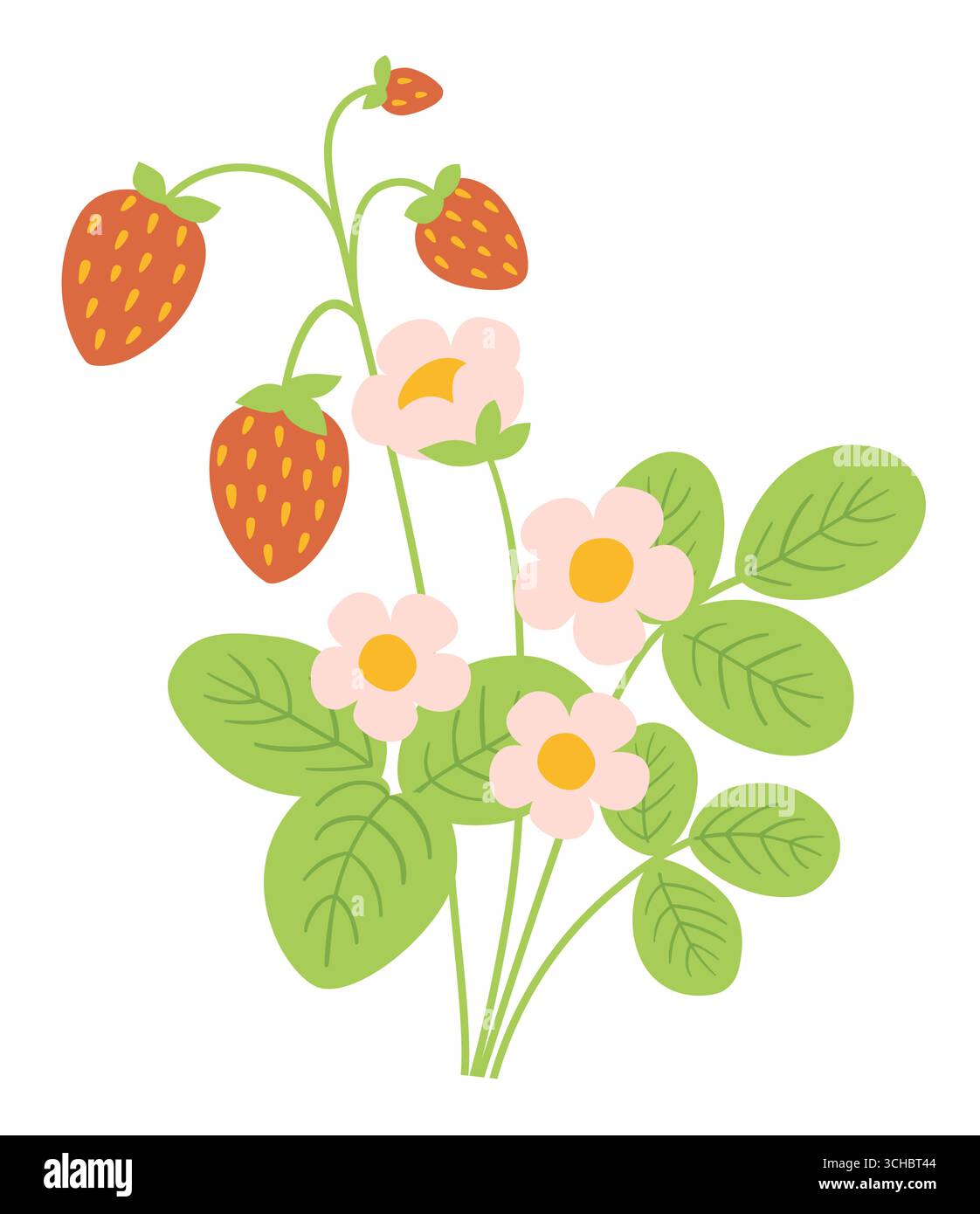 Strawberries with tops Stock Vector Images - Alamy