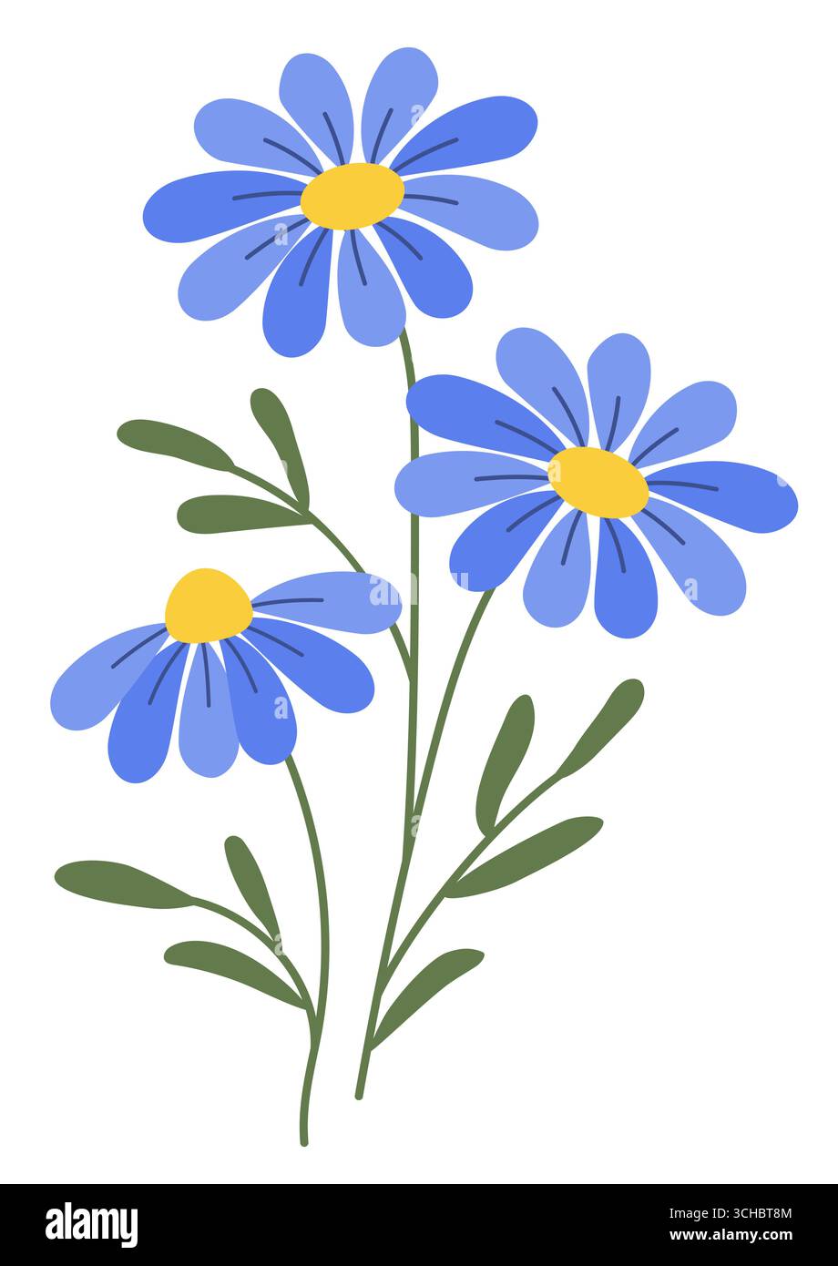 Blue flowers. Wild flower. Botanical illustration Stock Vector Image ...