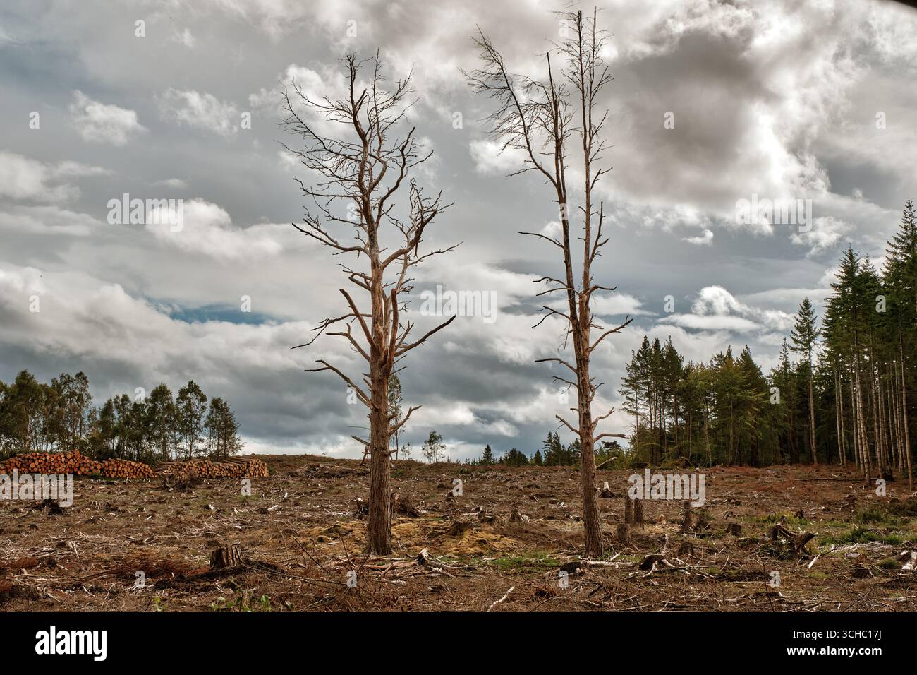 Contrast destruction hi-res stock photography and images - Alamy