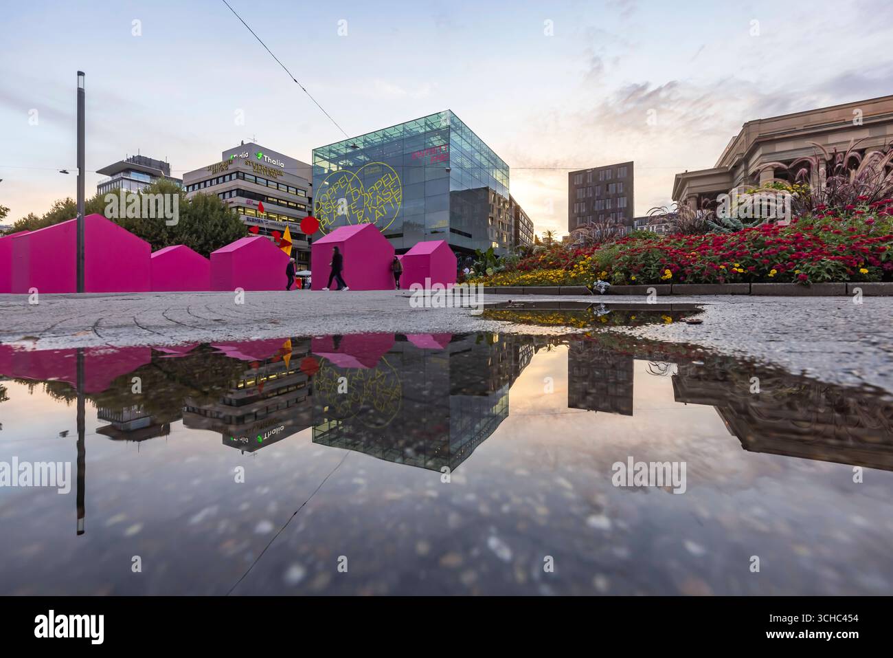Zwölf Häuser im knalligen Magenta-Ton stehen am Stuttgarter ...