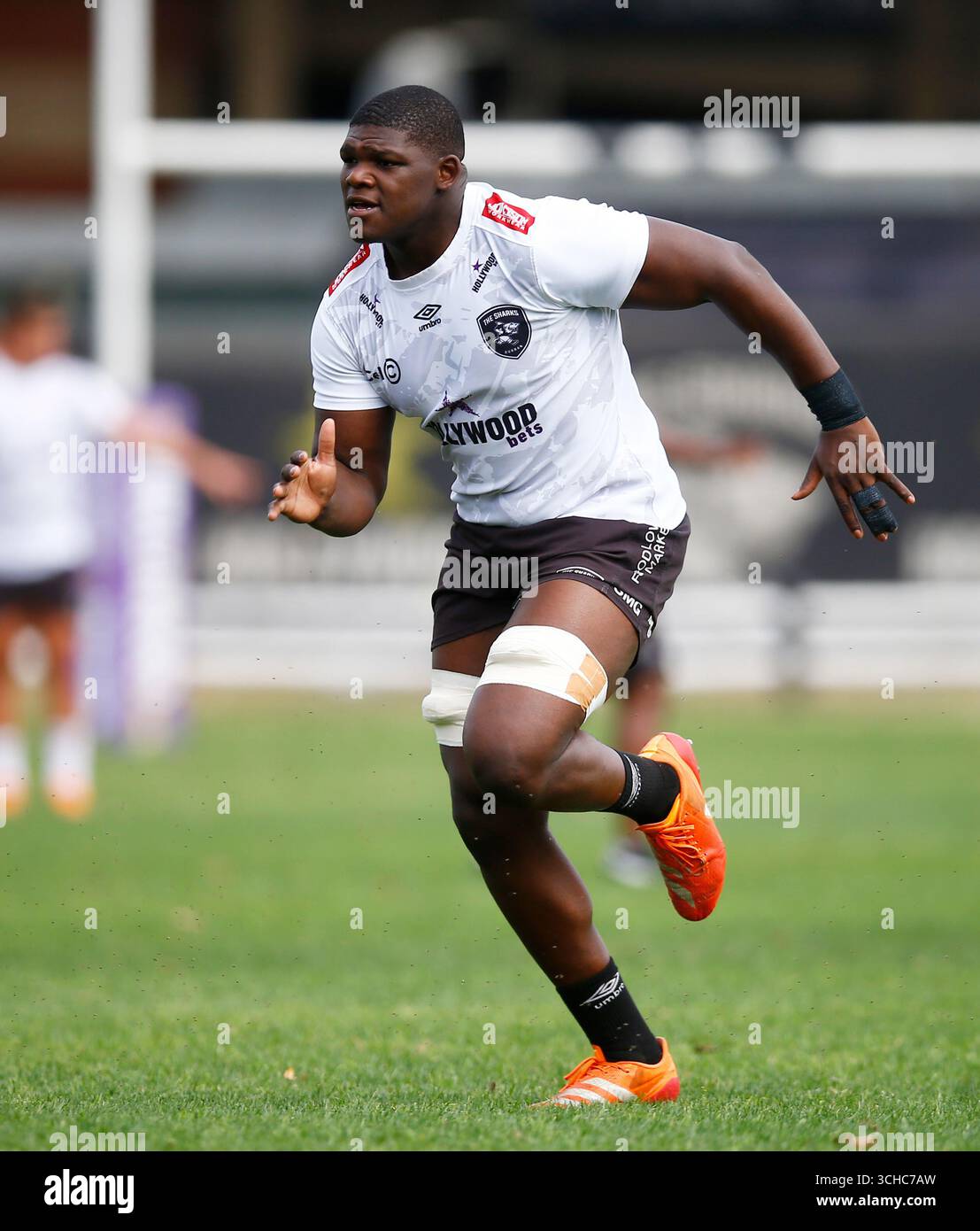 Bathobele Hlekani of the Hollywoodbets Sharks during Hollywoodbets ...