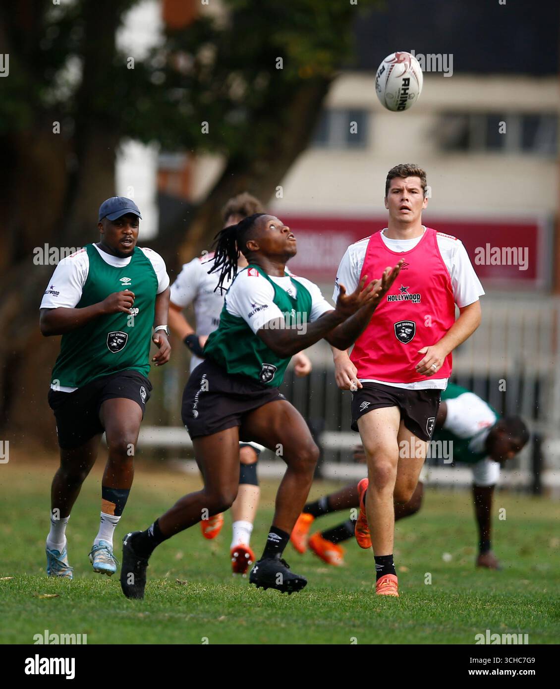 Phiko Sobahle of the Hollywoodbets Sharks during Hollywoodbets Sharks ...