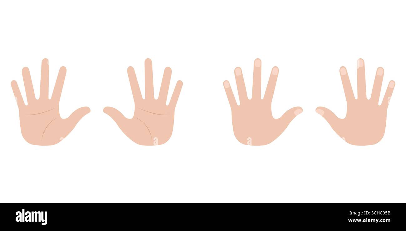 Human body front back hi-res stock photography and images - Alamy