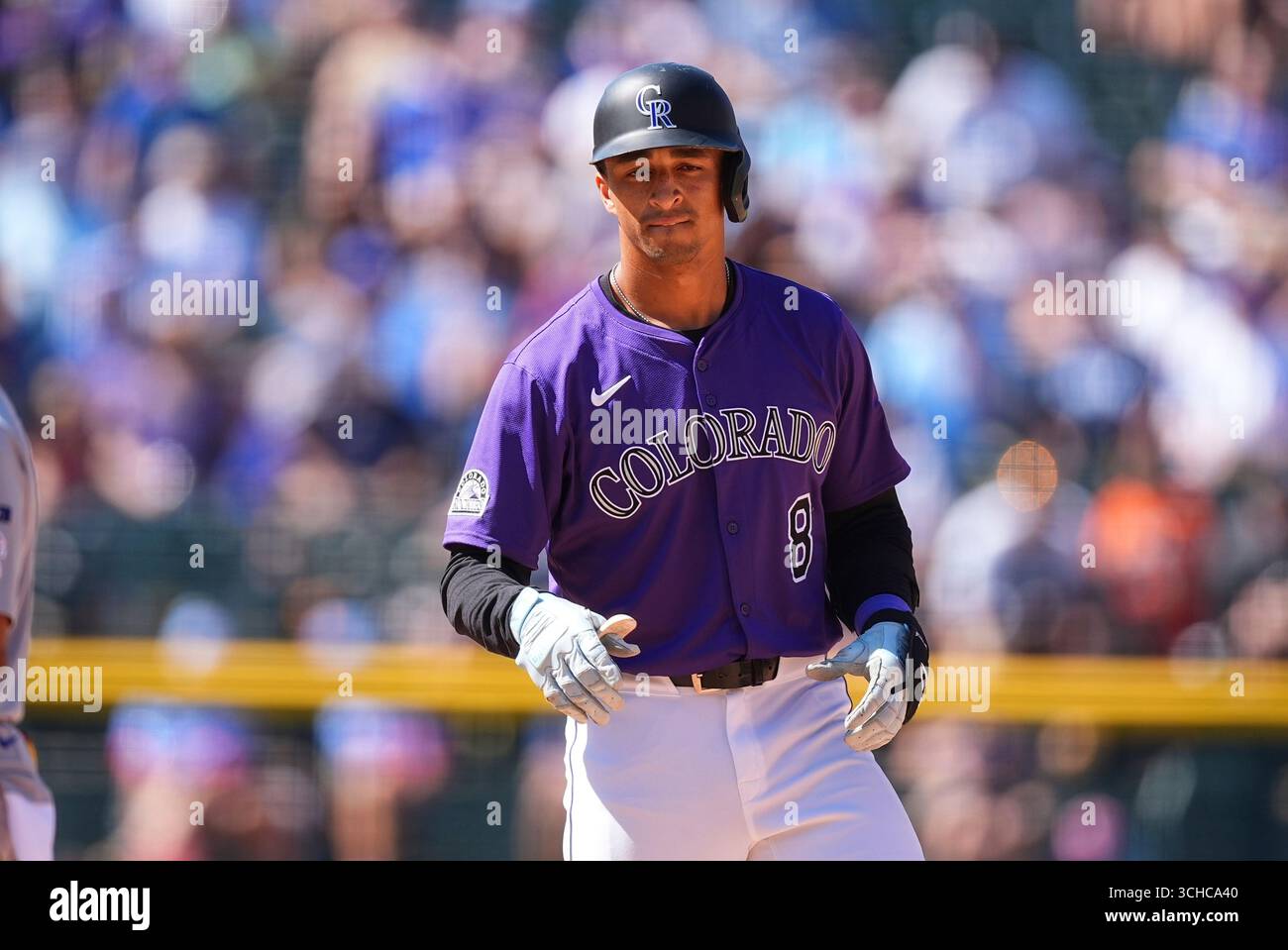 Colorado Rockies second baseman Ryan Ritter (8) in the seventh inning ...