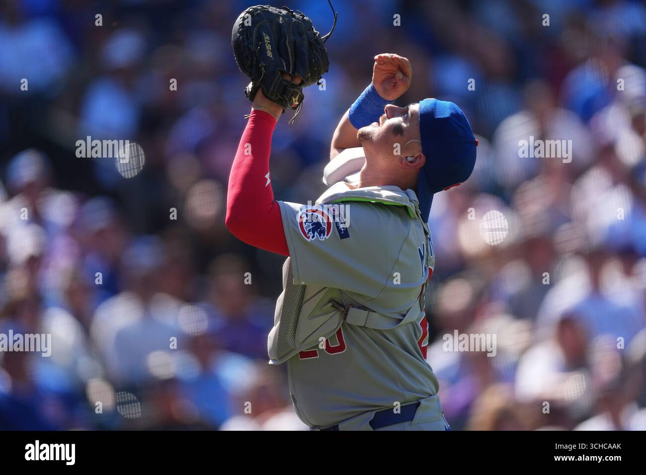 Chicago Cubs catcher Reese McGuire (20) in the sixth inning of a ...