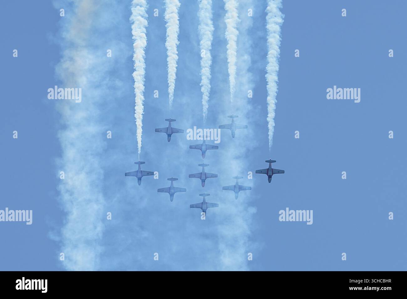 Canadian Forces Snowbirds perform a graceful maneuver during the ...