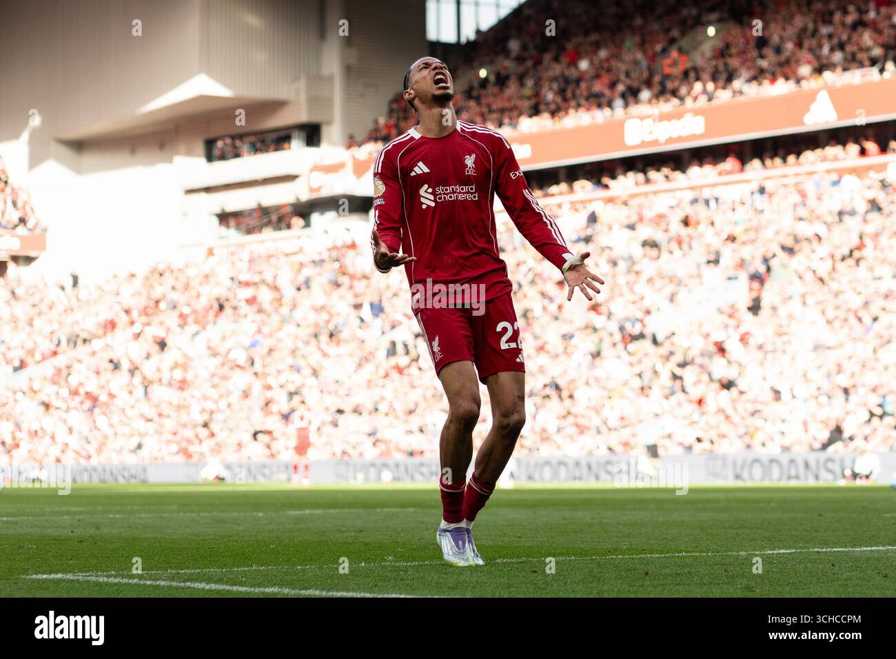 Hugo ekitike liverpool hi-res stock photography and images - Alamy