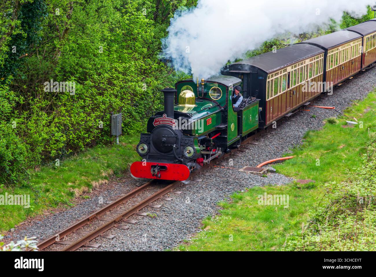 One of the great little trains of Wales, Linda approaches Blaenau ...