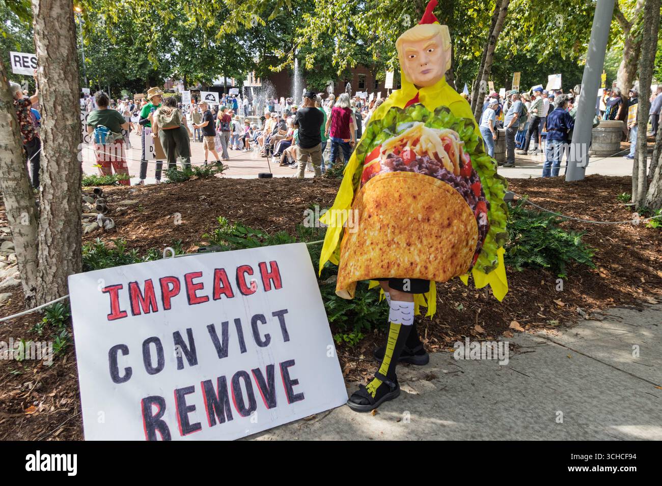 Trump chicken hi-res stock photography and images - Alamy