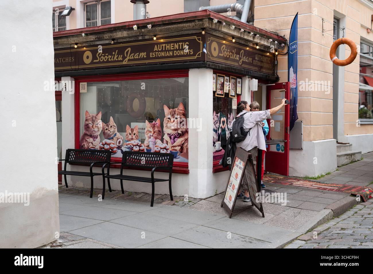 Shop window display cats hi-res stock photography and images - Alamy
