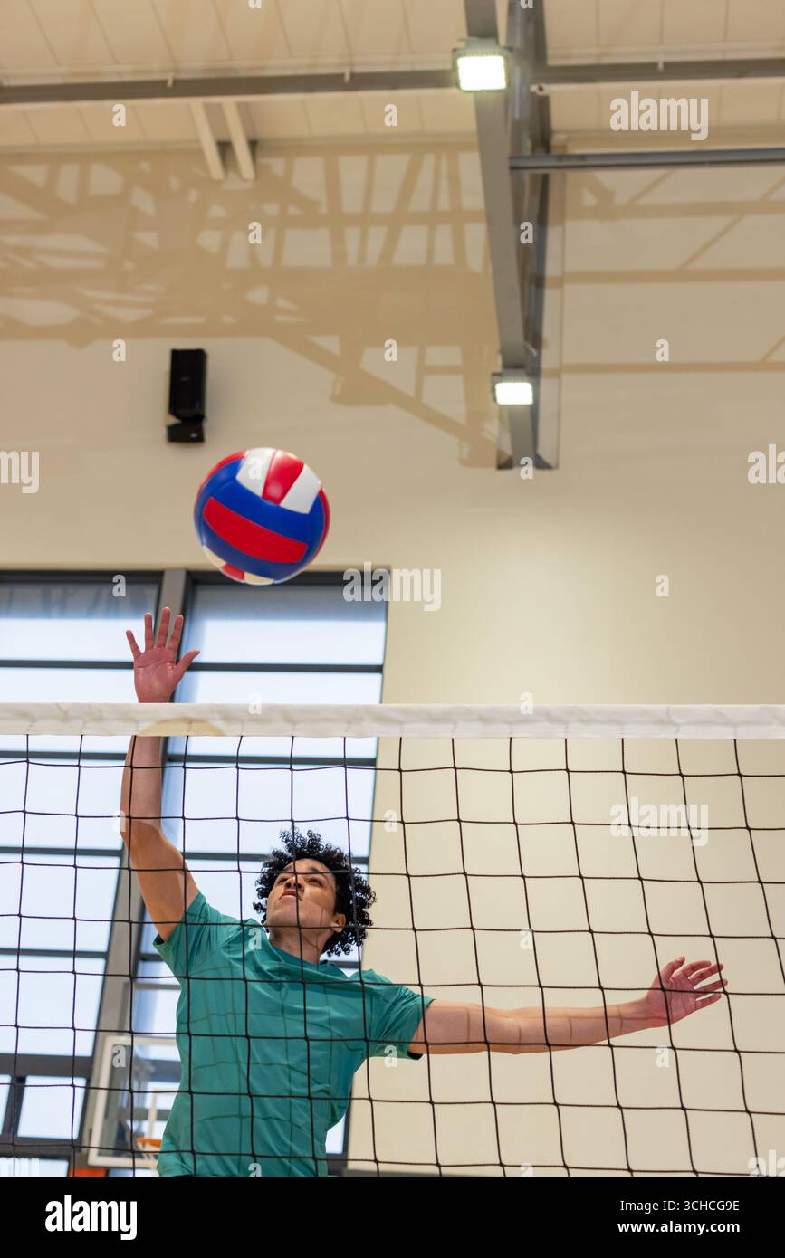 Volleyball player is leaping and striking tricolor ball over net in gym ...