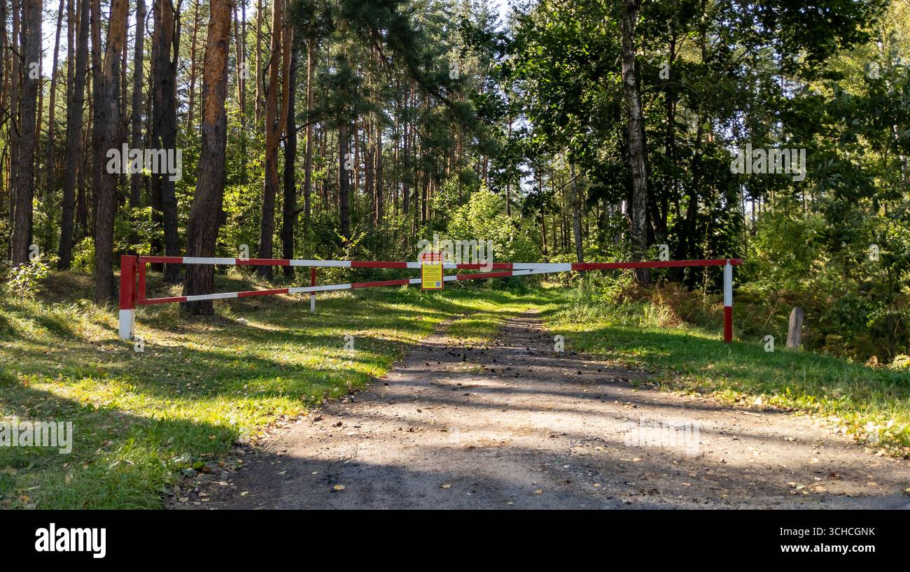 Barrier blocks the road in the forest. Barrier in the summer forest on ...