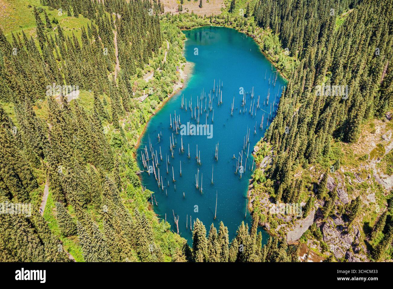 Aerial view of sunlit Kaindy lake with submerged trees and turquoise ...