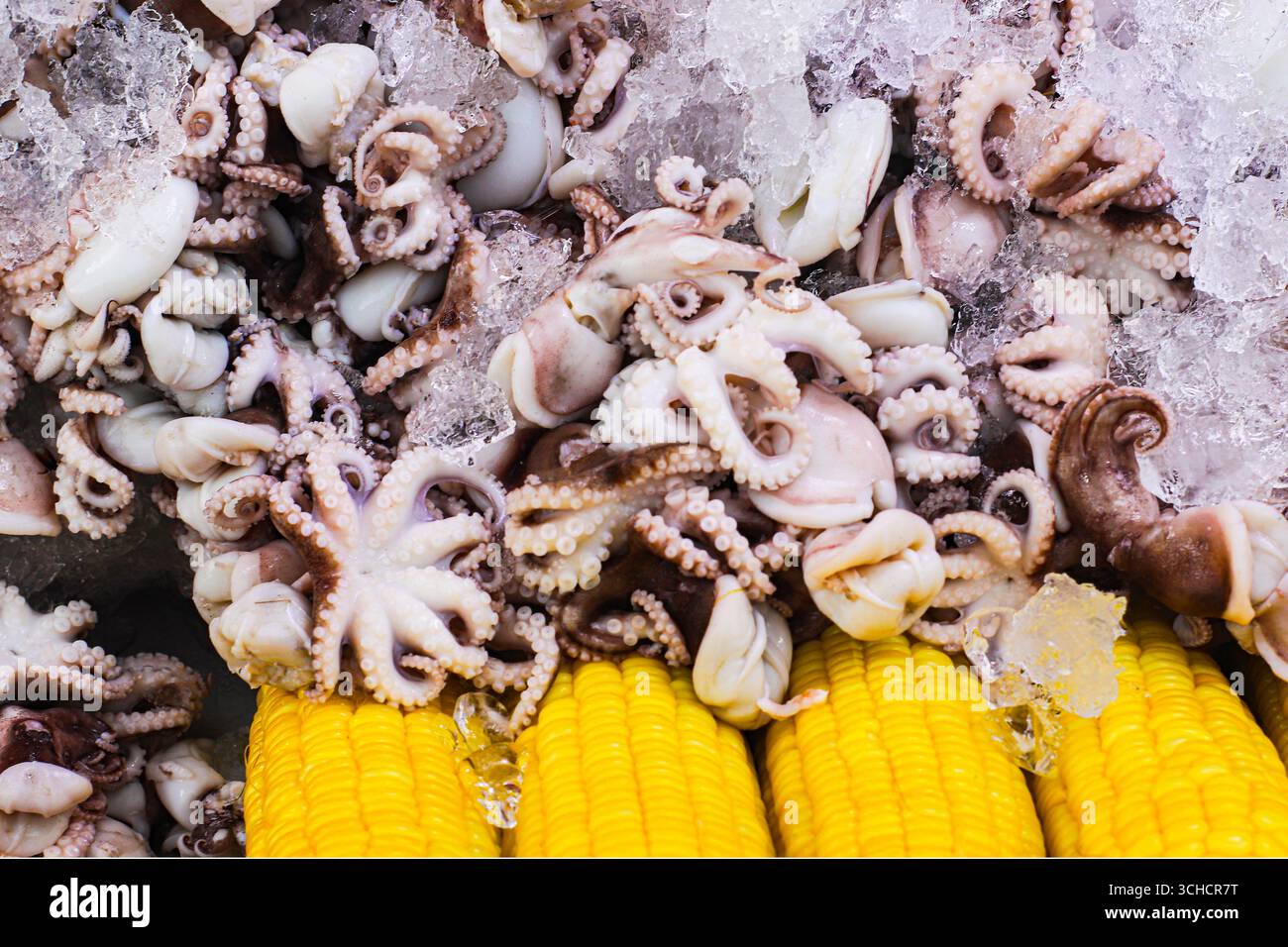 Fresh octopus with boiled corn on ice at Thai street market, authentic ...