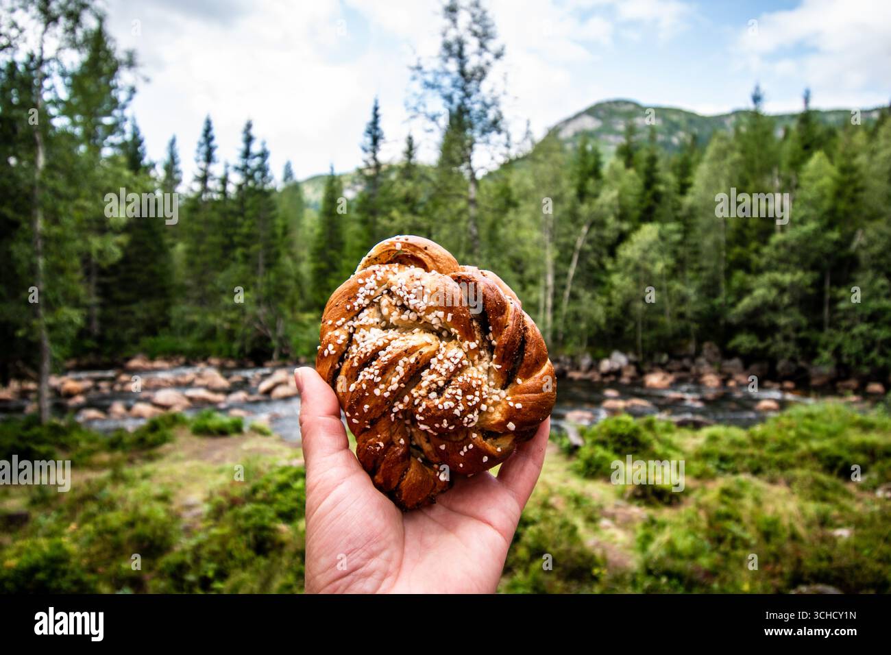 Norwegian bakeries boler with cardemon Stock Photo - Alamy