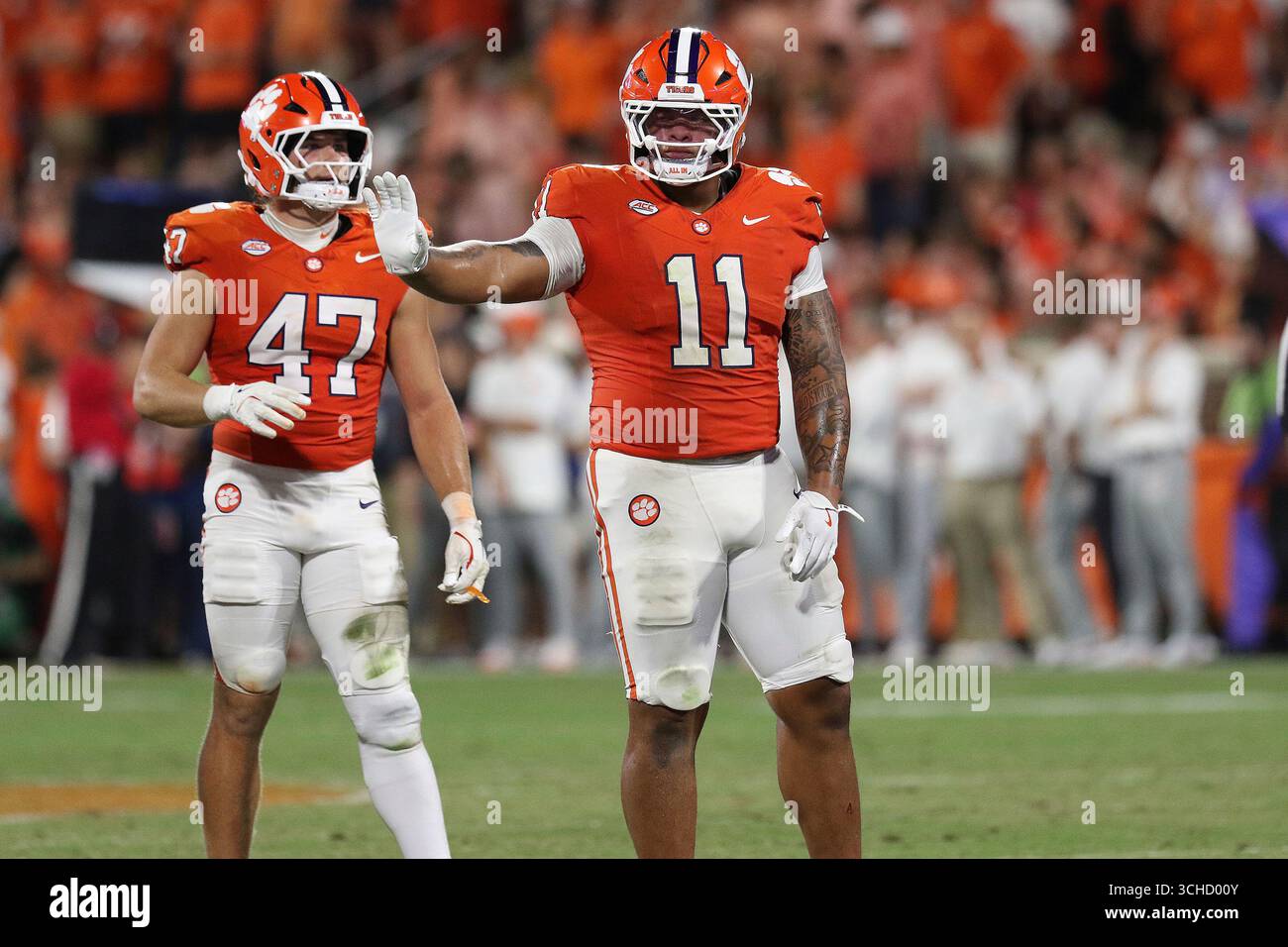 CLEMSON, SC - AUGUST 30: Clemson Tigers defensive lineman Peter Woods (11) during a college ...