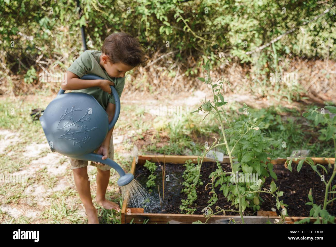 Boy takes care plants hi-res stock photography and images - Alamy