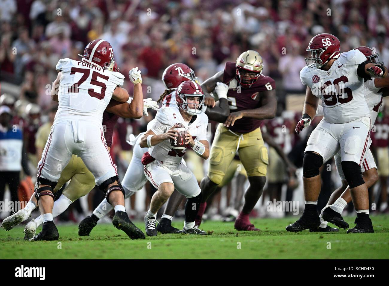 Alabama quarterback Ty Simpson (15) scrambles against Florida State ...