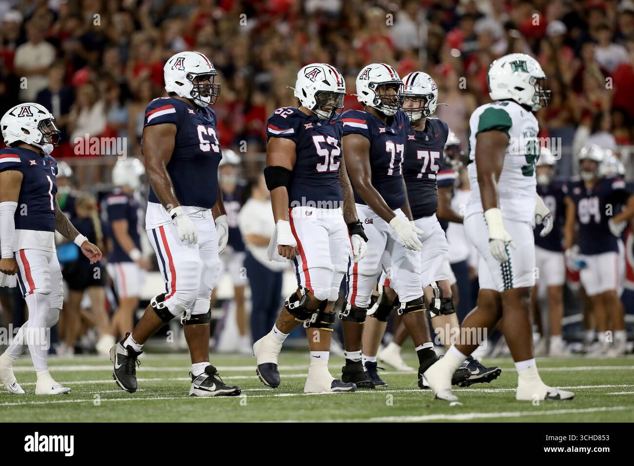 TUCSON, AZ - AUGUST 30: Arizona Wildcats offensive lineman Alexander ...