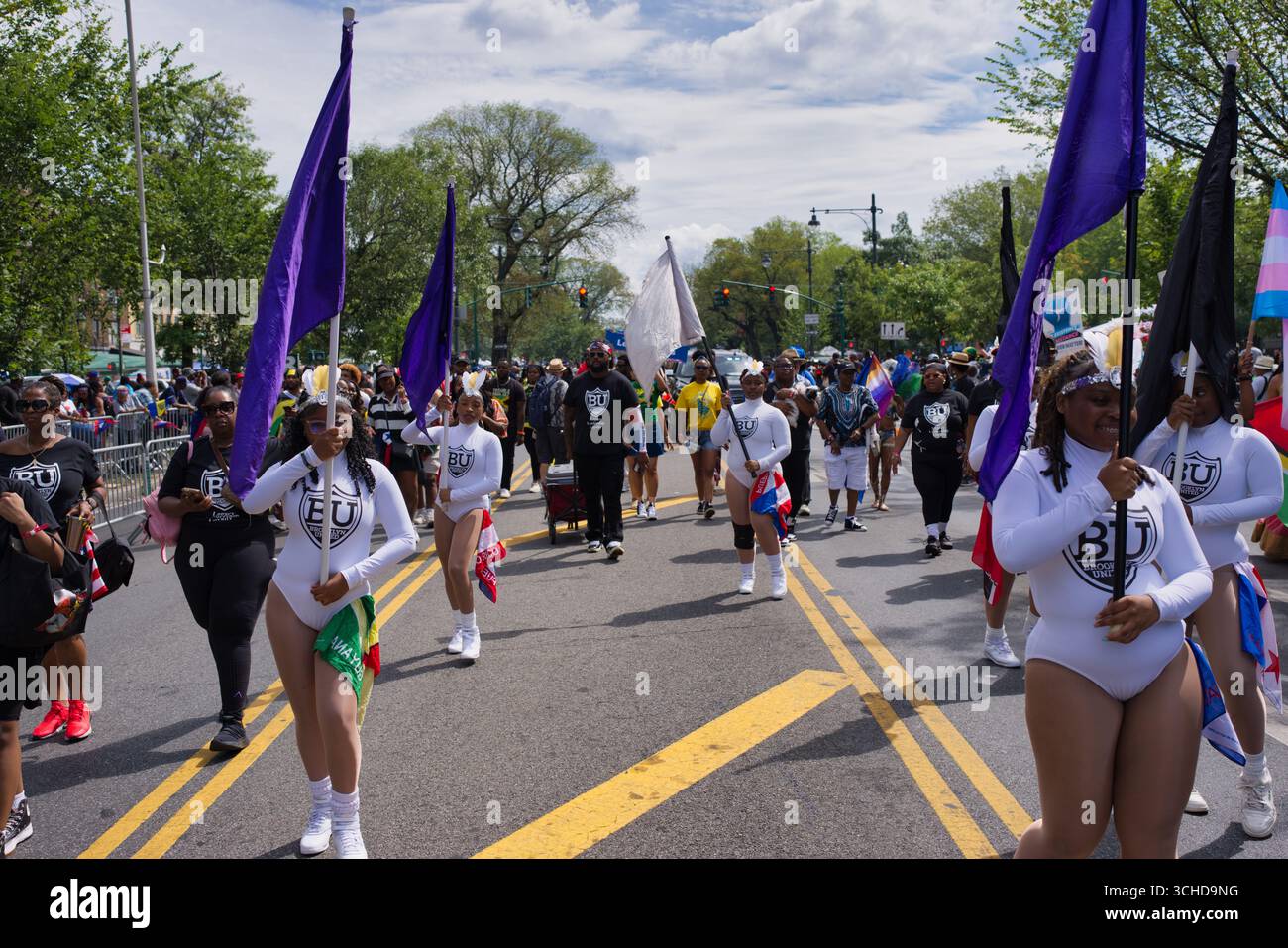 A diverse group of people march in a parade, holding various flags ...