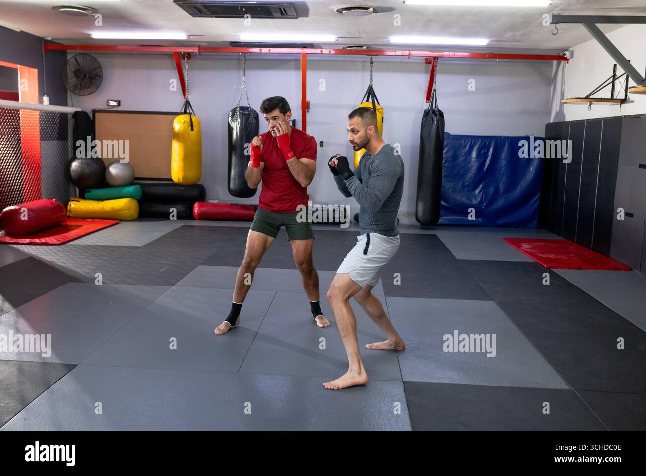 Diverse male training friends sparring on interlocking mats in combat ...