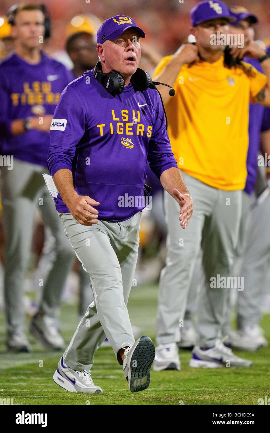 LSU head coach Brian Kelly looks on during an NCAA college football ...