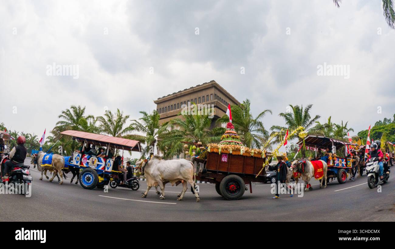 Cikar parade. Cikar is a form of land transportation in Indonesia that ...