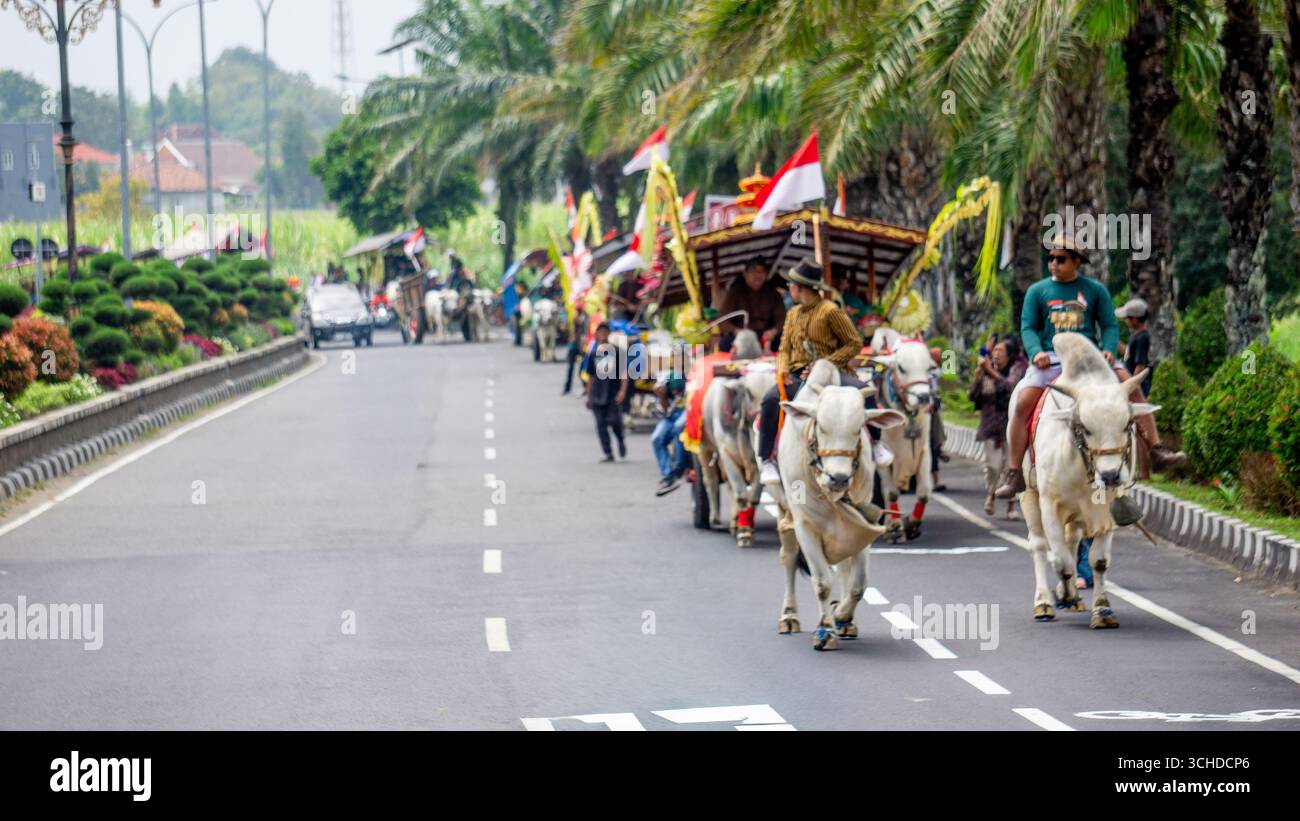 Cikar parade. Cikar is a form of land transportation in Indonesia that ...
