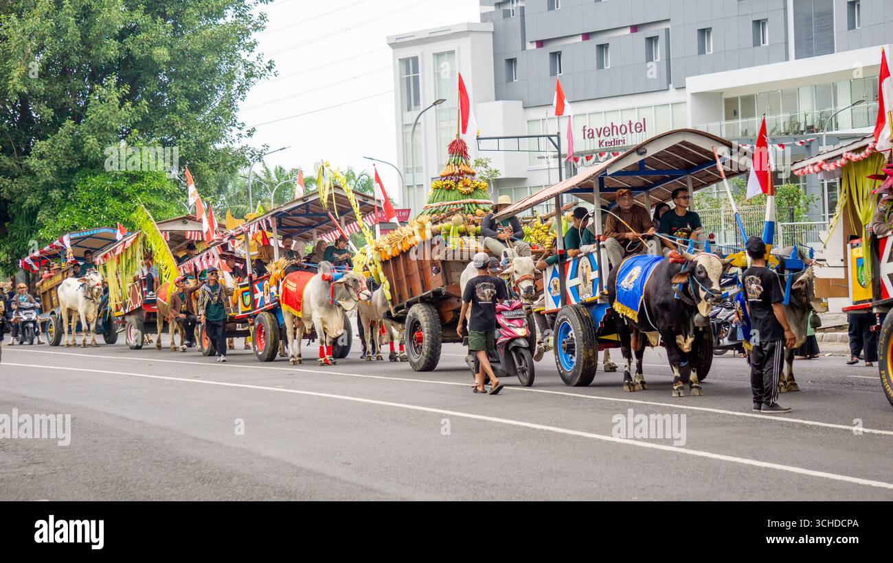 Cikar parade. Cikar is a form of land transportation in Indonesia that ...