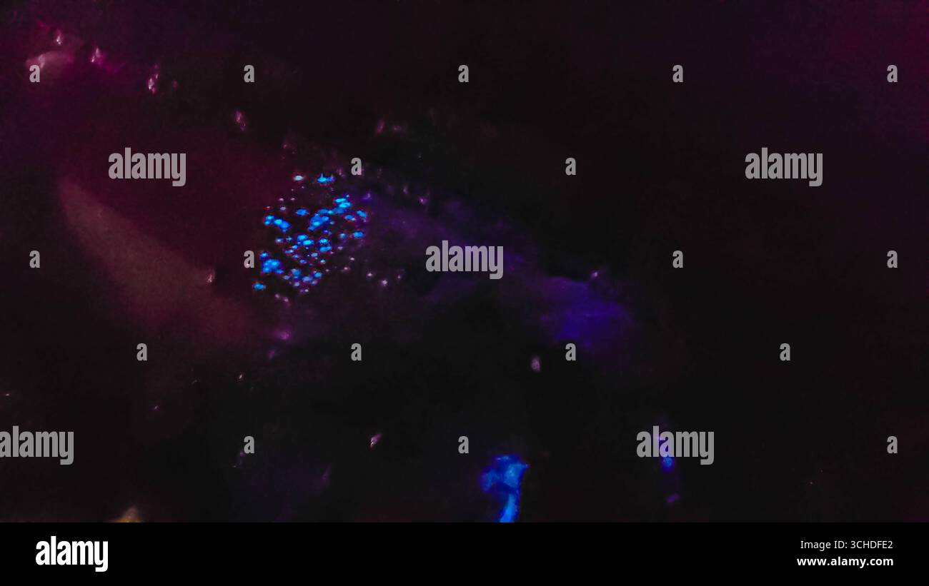 An attractive stunning view of the Bioluminescent Phenomenon Algae ...