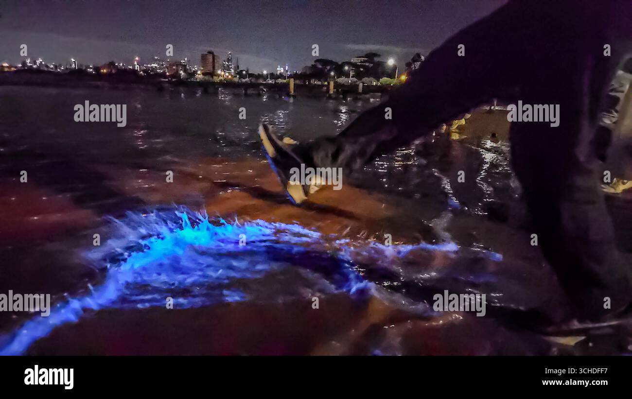 An attractive stunning view of the Bioluminescent Phenomenon Algae ...