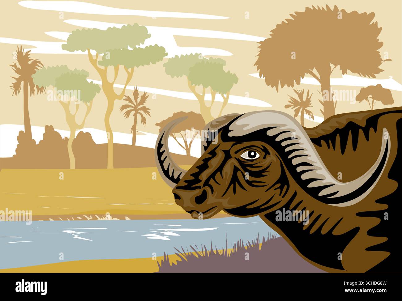 Buffalo in national park Stock Vector Images - Alamy