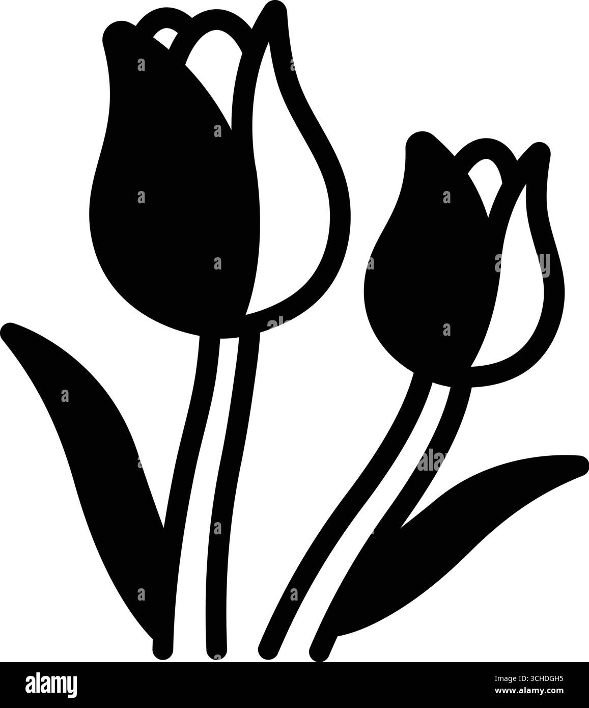 Bulbous spring Black and White Stock Photos & Images - Alamy