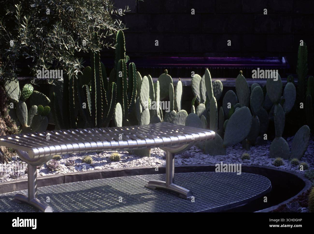 A sleek, metallic bench is positioned amidst a variety of cacti in a ...