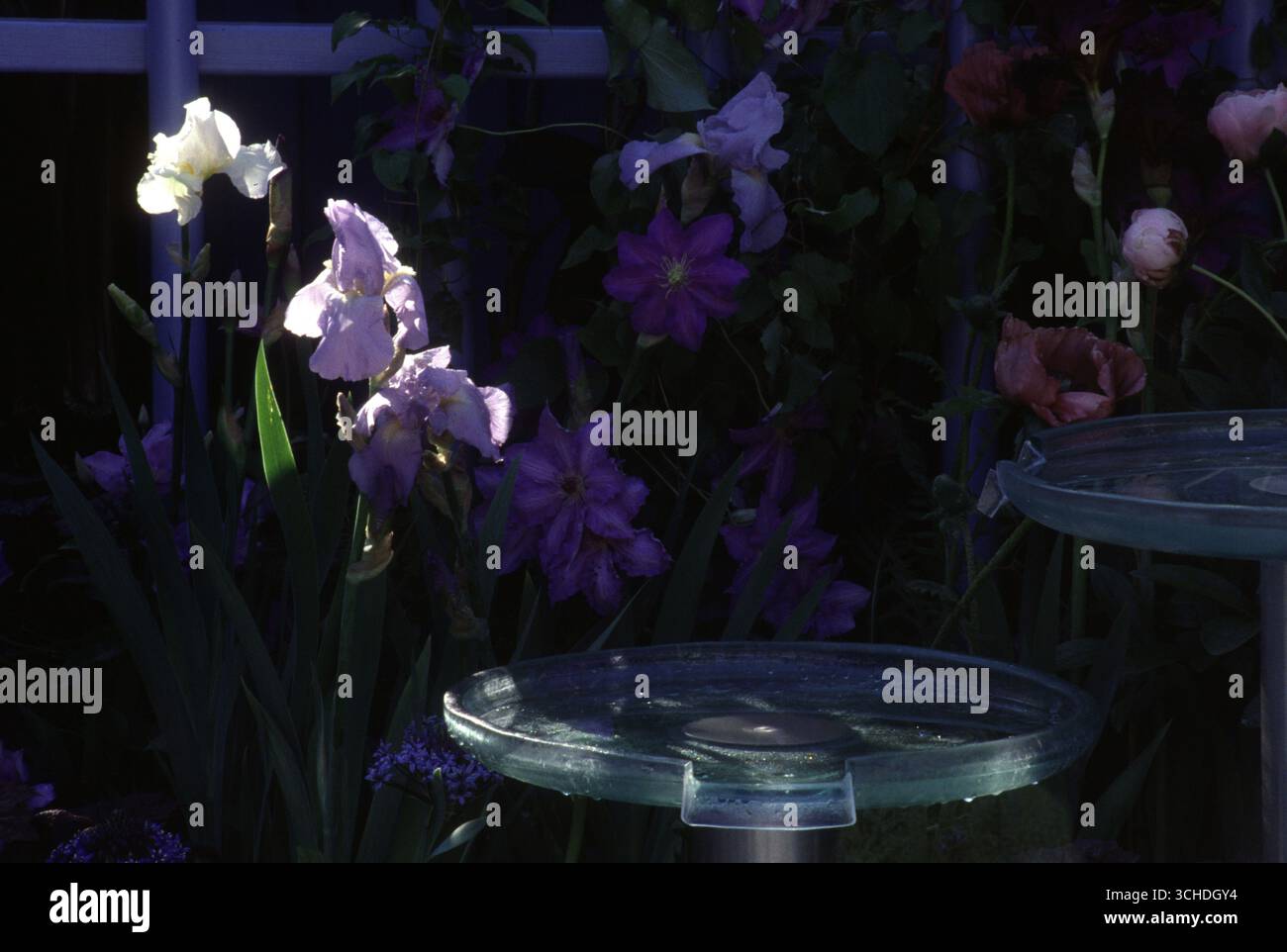 At dusk, vibrant flowers emanate soft light, highlighting glass tables ...