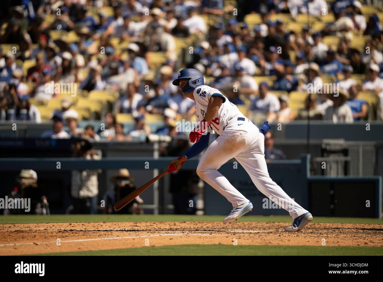 Los Angeles Dodgers' Alex Freeland bats during a baseball game against ...