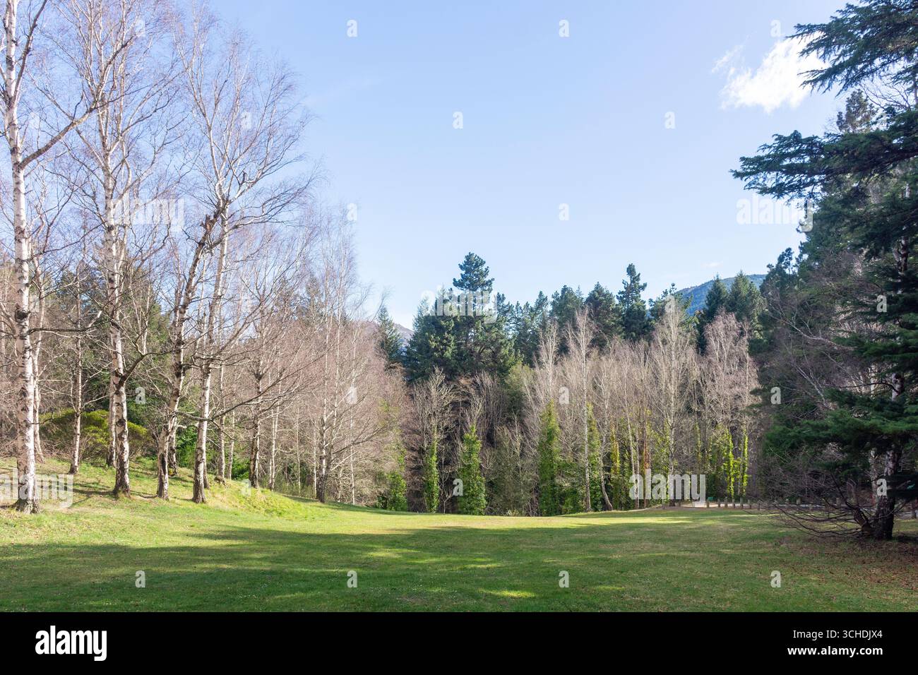 Hanmer Forest Tracks, Jollies Pass Road, Hanmer Springs, Canterbury ...