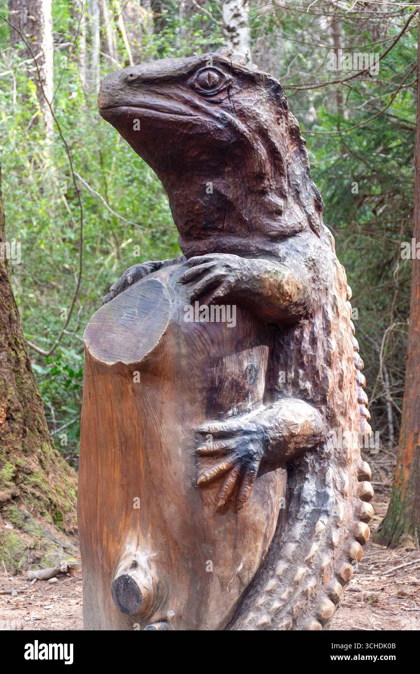 Tuatara carving hi-res stock photography and images - Alamy