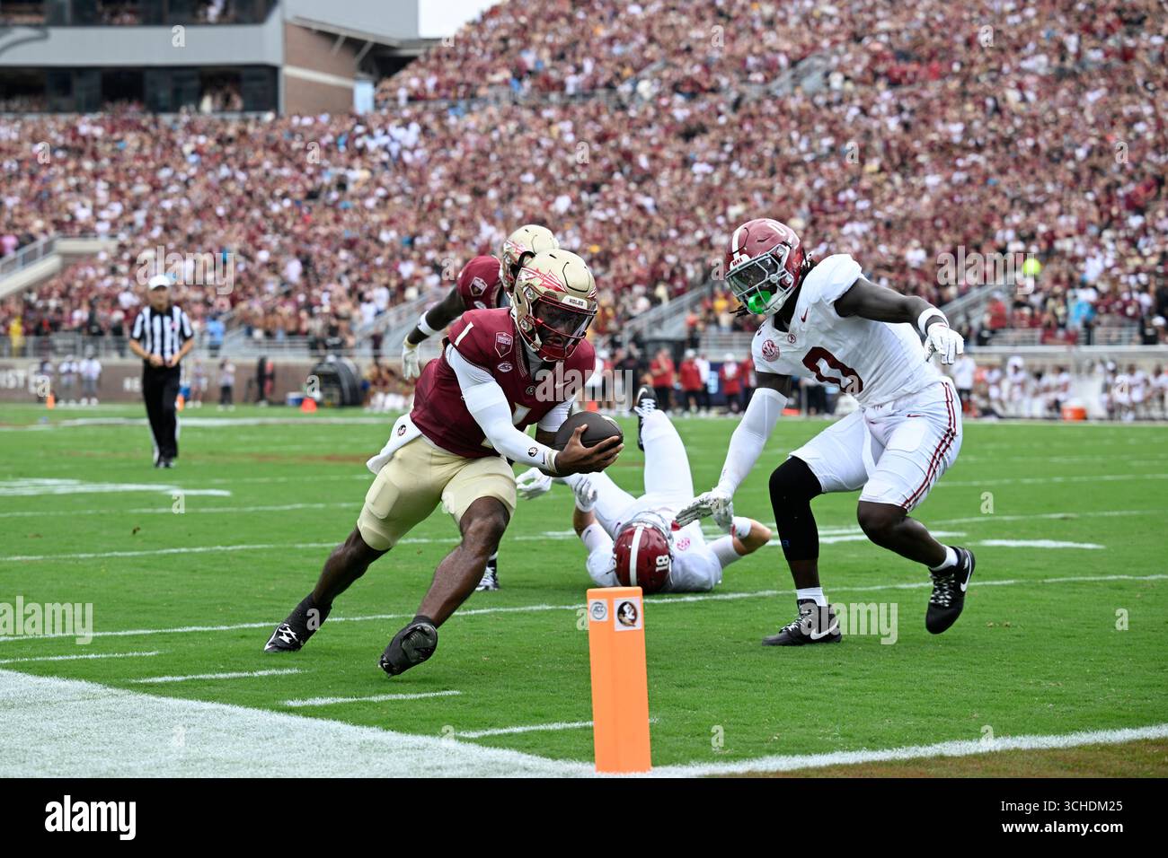 Florida State quarterback Tommy Castellanos (1) scores a 9-yard rushing ...