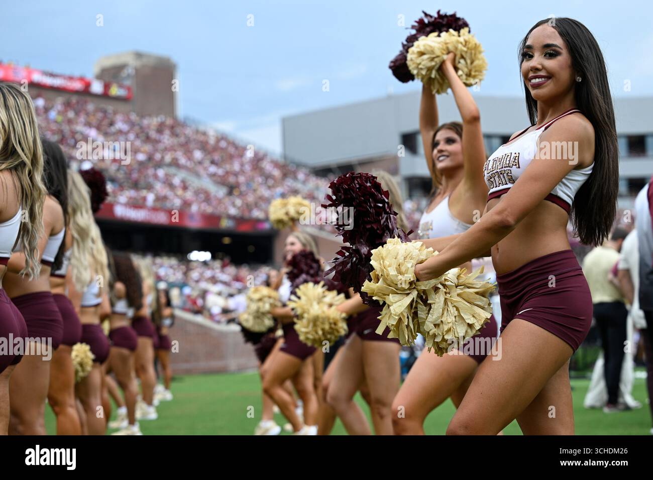 Florida State cheerleaders perform on the sideline during the first ...
