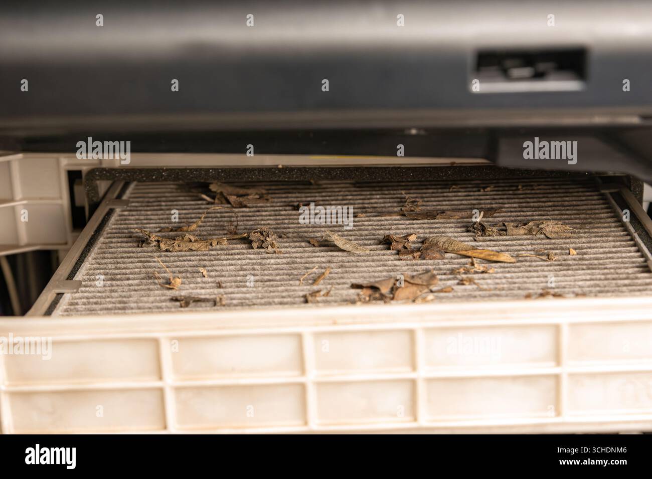 A dirty cabin air filter with dried leaves and dust, removed during ...