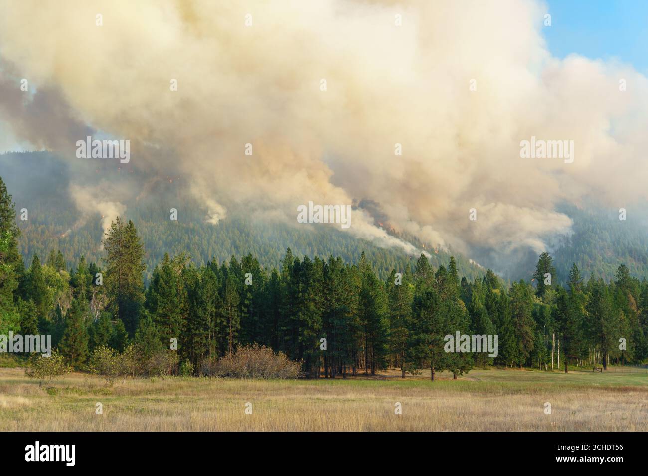 Crown creek forest fire hi-res stock photography and images - Alamy